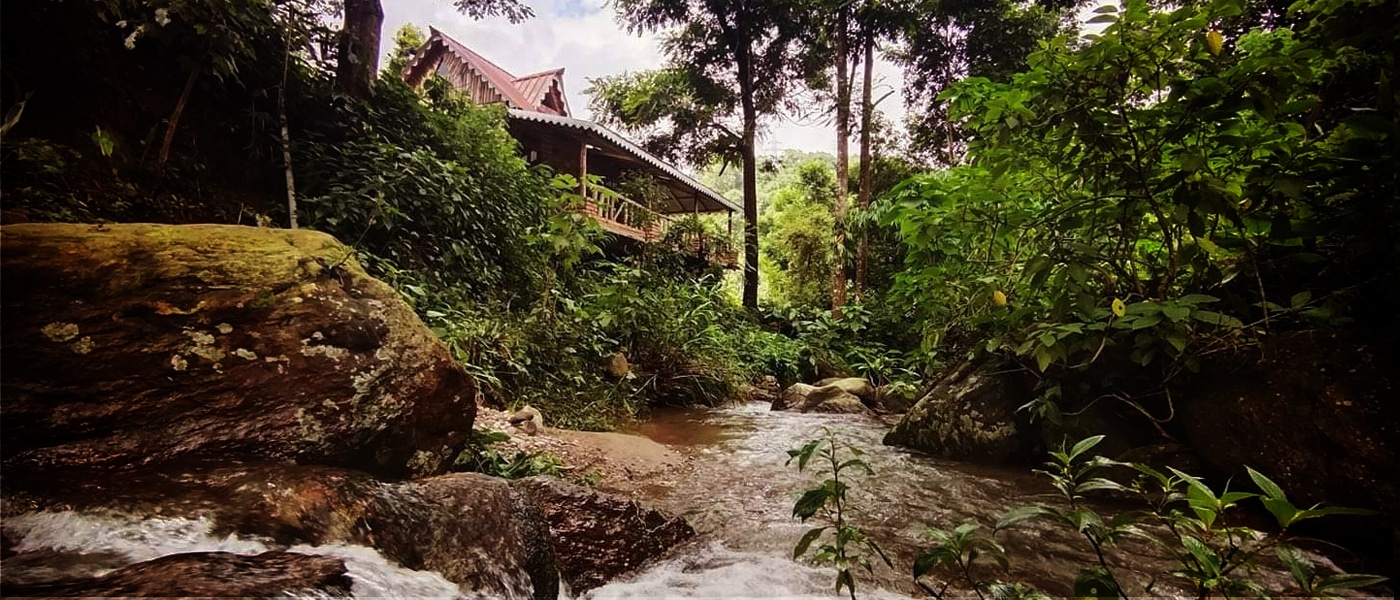 Tabakoshi Darjeeling Offbeat homestay near Mirik Riverside Dwelling