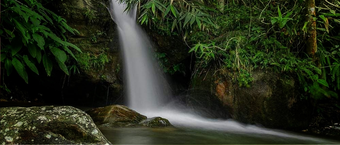 Tabakoshi Darjeeling Offbeat homestay near Mirik Riverside Dwelling